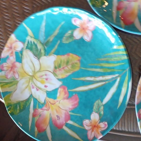 Cynthia Coulter | Dining | Nwot Cynthia Coulter Tropical Melamine ...